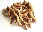 snake ROOT Ayurveda Herb SARPAGANDHA Rauwolfia WHOLE Free Shipping | eBay