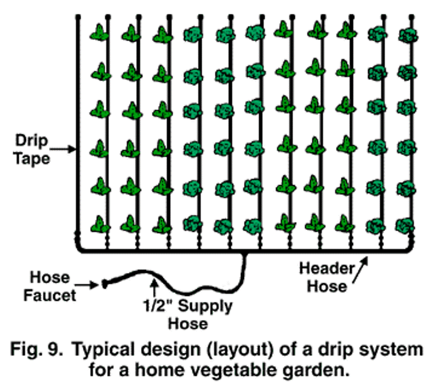 Residential Drip Irrigation System Design Captain: Drip Irrigation