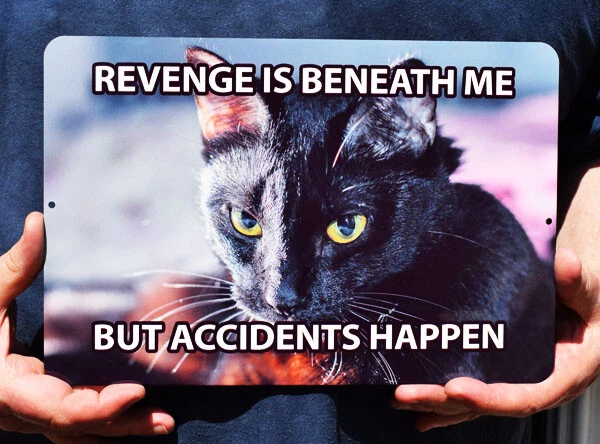 Revenge Meme Funny
