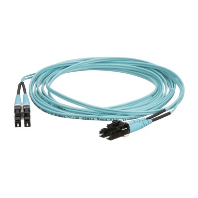 Panduit FZ2ERLNLNSNM010 10 Meter LC Duplex Fiber Optic Patch Cord Riser ...