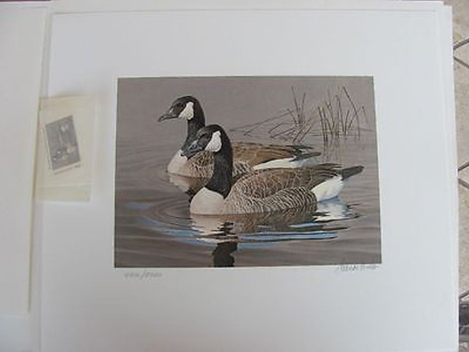 NC-4 1986 North Carolina State Duck Stamp Print OFFER #NC4XV12DSS | eBay