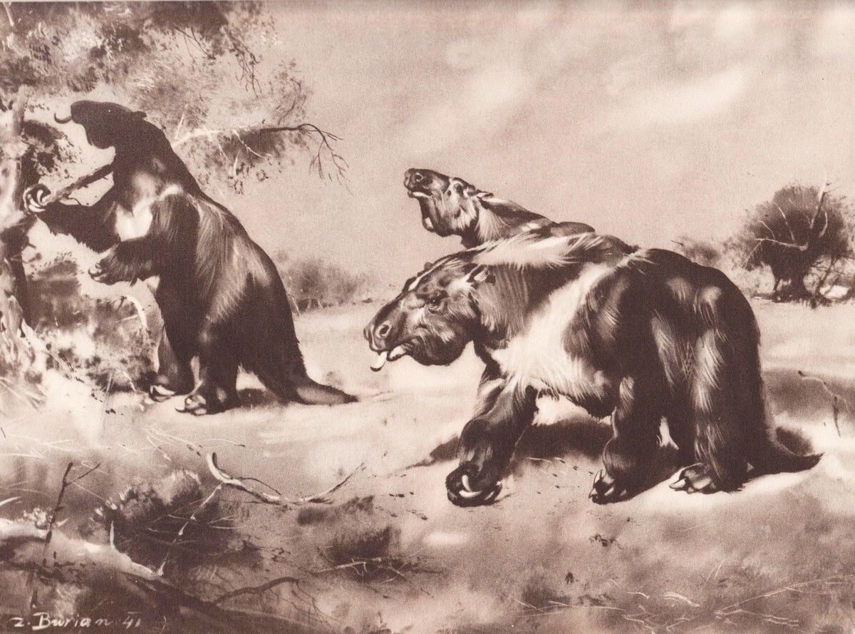 Prehistoric huge N&S American MEGATHERIUM Sepia Print By Z Burian 1963 ...