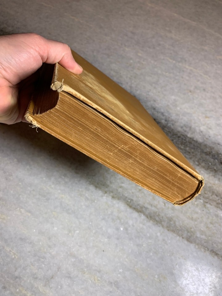 Antique Victorian Ornate Gilded Gold Embossed Hardcover Book THE PRINCE ...