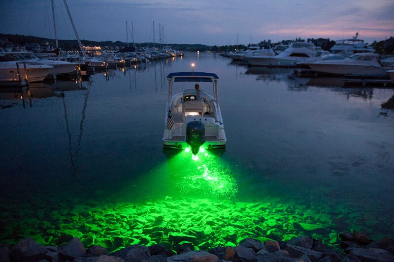 Tecniq Underwater Lights | Shelly Lighting