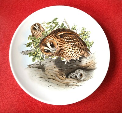 Vintage Poole Pottery Owl Plate | eBay