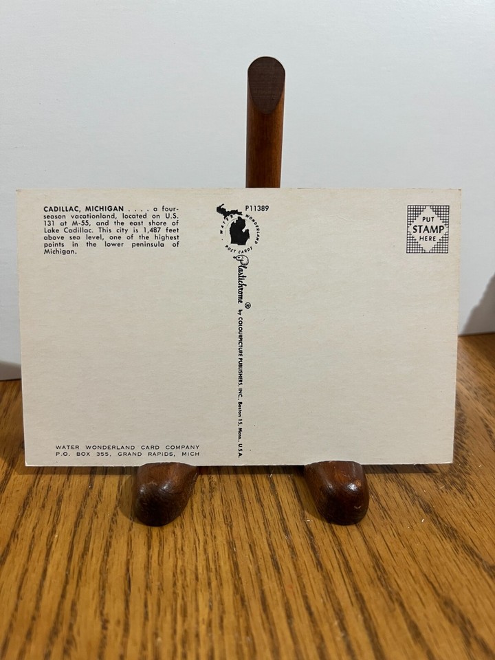 Greetings Cadillac MI Fish Fishing Deer Bobcat Postcard Vintage ...