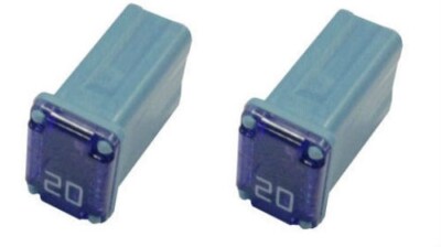 Two Flosser 608820 20 Amp Micro Cartridge Fuses - FMM MCASE Type - Made ...
