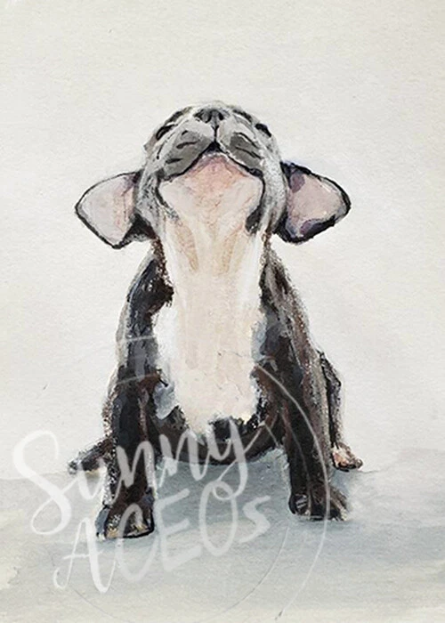 Puppy Howling Drawing