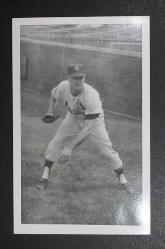 Mel Nelson St Louis Cardinals Unsigned Vintage 3x5 Postcard Photo | eBay