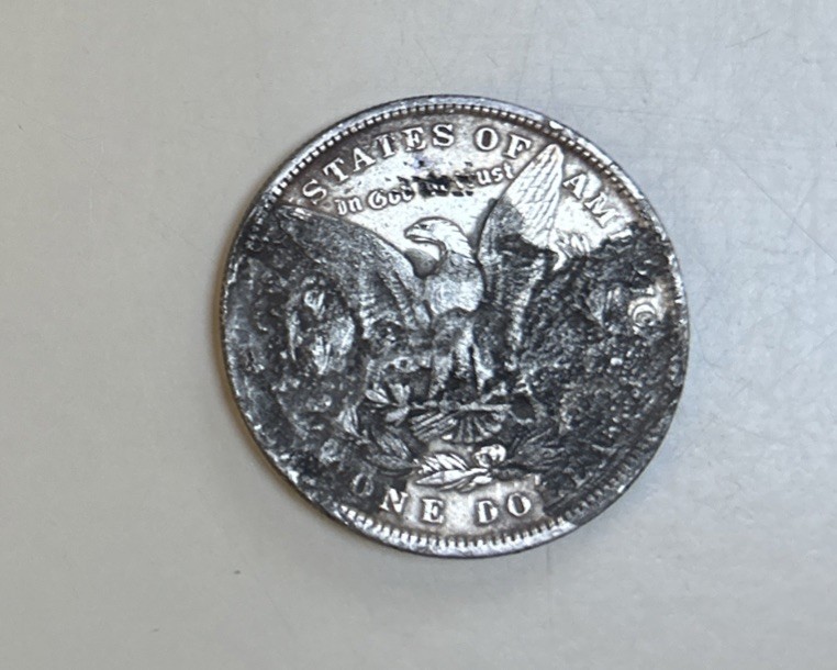 1880-P Morgan Silver Dollar Reverse Damaged | eBay