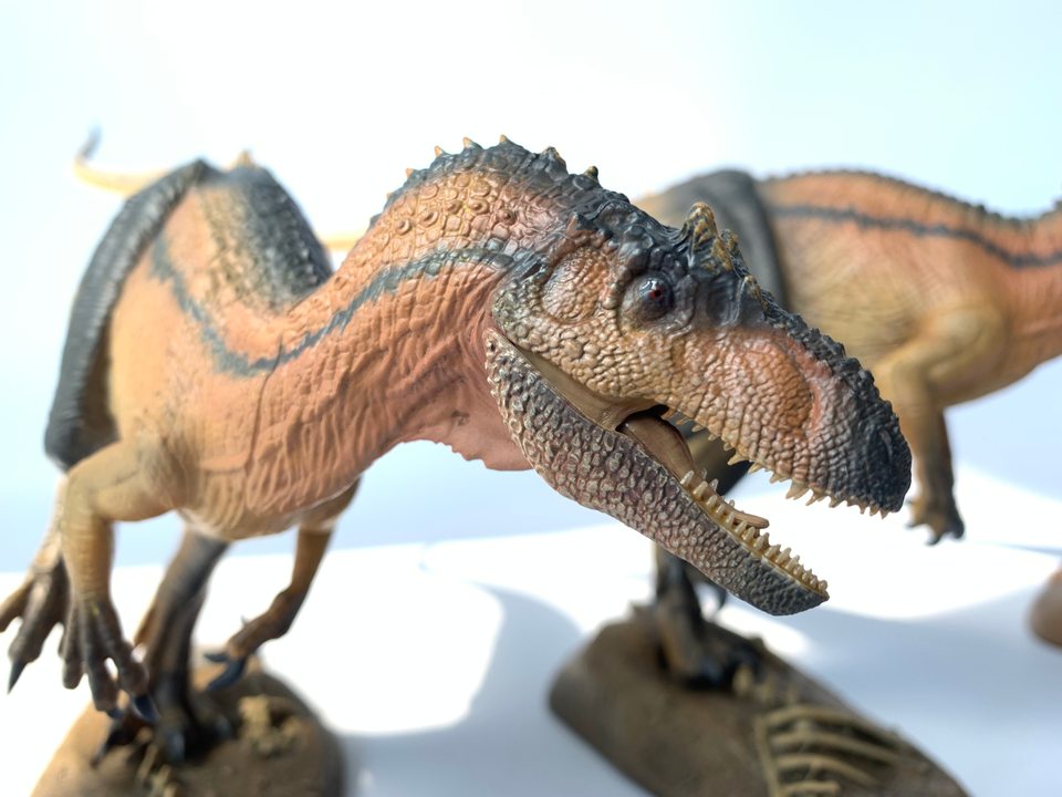 New 1:35 Nanmu Allosaurus Dinosaur Model Allosauridae Animal Collection ...