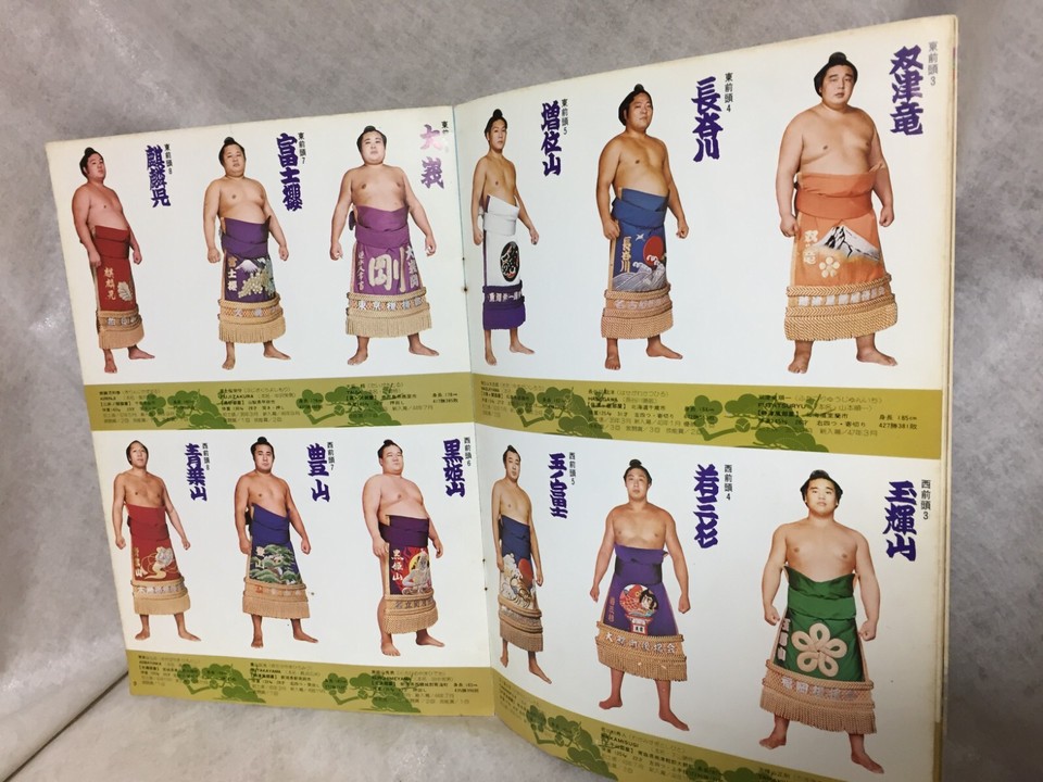 See-CONDITION_Japan_1976-BOOK_sumo-wrestling_pamphlet_yokozuna_Wajima ...