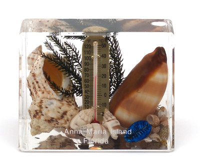 Vtg. Lucite Paperweight Thermometer Shells & Seaweed Anna Maria Island ...