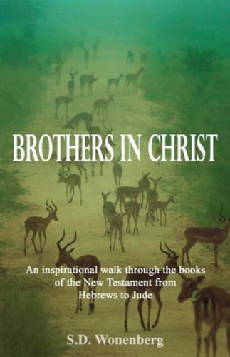 Brothers in Christ : An Inspirational Walk Through the Books of the New ...