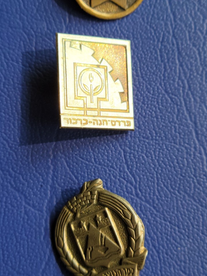 LARGE LOT OF RARE VINTAGE ISRAELI ZIONIST HEBREW PINS BADGES | eBay