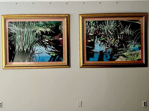 David Kessler (2) Diptych Color Pochoirs (40” x 50”) | eBay