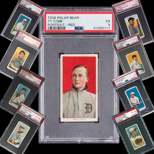 T206 Polar Bear PSA Registry Complete Set - #1 All Time - Highest ...