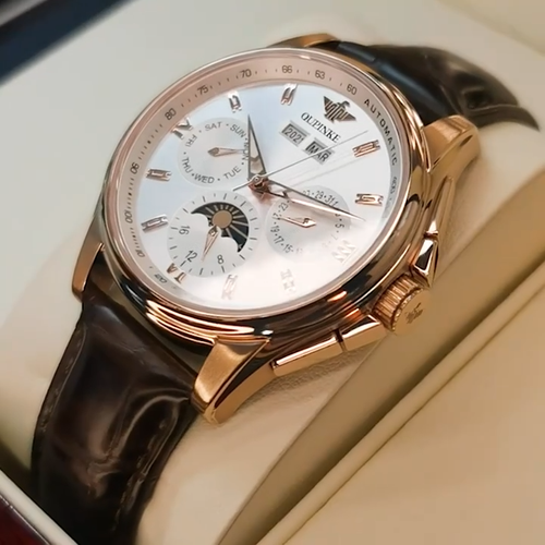 Automatic Mechanical Waterproof Watch Moon Phase Luxury Dial Men's Men ...