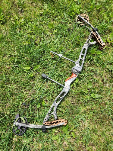 ALPINE SILVERADO COMPOUND BOW | eBay