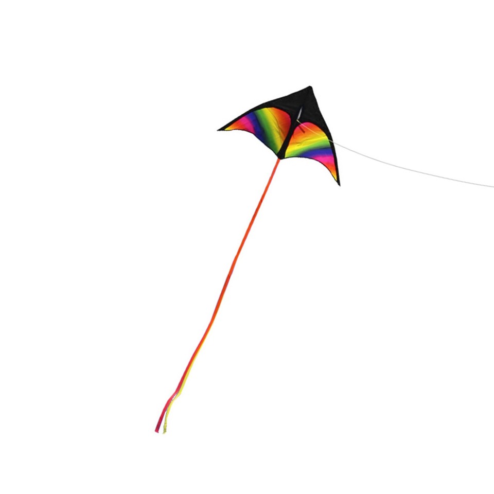 Colorful Triangle Kite Easy To Fly Kite Single Line Beach Kite With 30m ...