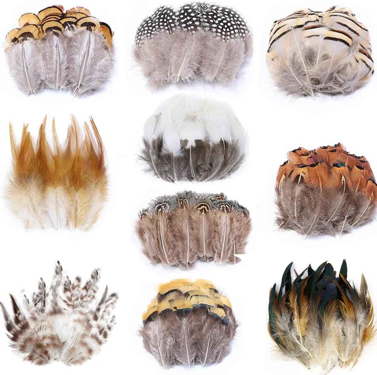 200Pcs 10 Style Natural Feathers Assorted Mixed Feathers for Dream ...