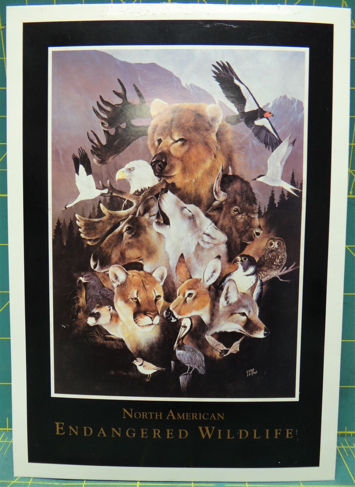 North American Endangered Wildlife Art Print Eddie Le Page Reproduction ...