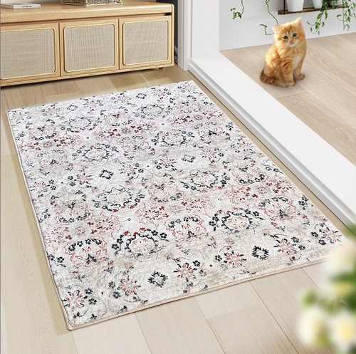 Door Mat Entry Rug Washable Mat Indoor Entrance 2x3 Non-SlipLaundry ...