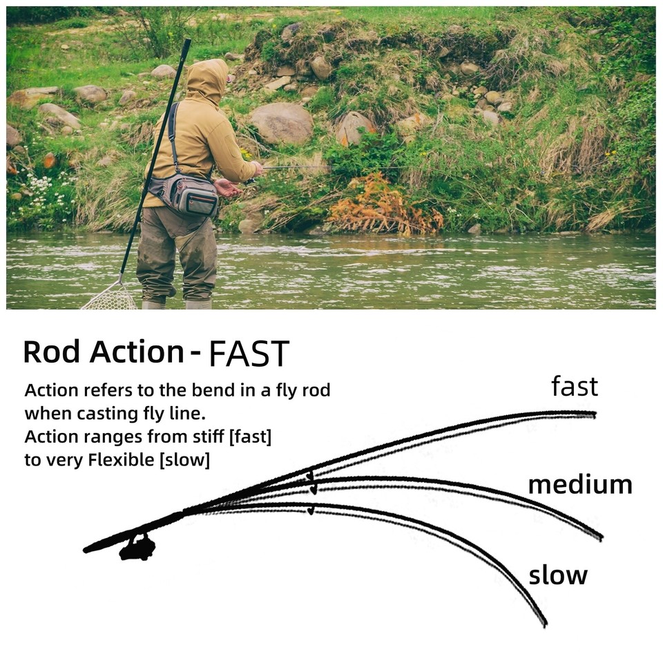 7'6'' 3WT 4Pieces Carbon Archer Fly Fishing Rod &3/4WT Reel MossGreen ...