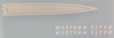 Western Flyer Cosmic Flyer tank top and side decal set for women's 26 ...