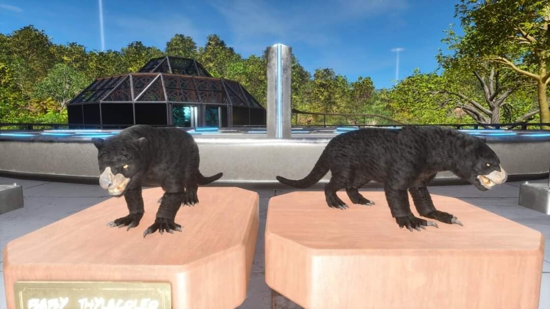 ARK ASCENDED PVE OFFICIAL PAIR BABY THYLA BLACK ID79 HIGH STATUS PC ...