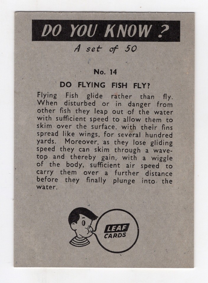 Leaf Do You know cards 1961. Flying Fish | eBay