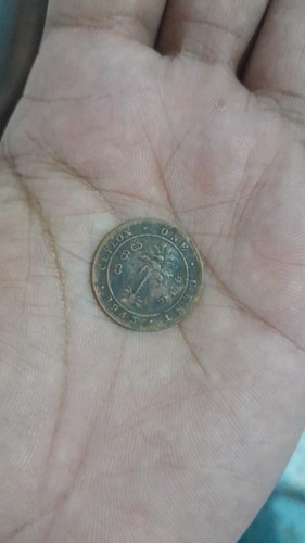 Vintage Coin Collection – Rare 1943 Sri Lankan Coins + Foreign Coins ...