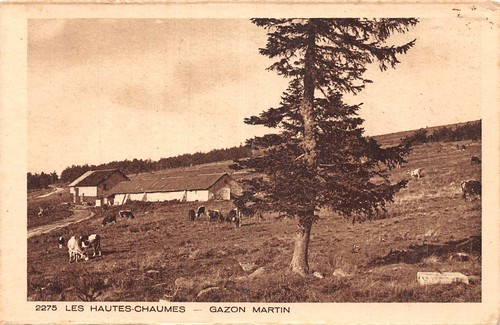 68-LES HAUTES CHAUMES-N T5215-C/0177 | eBay