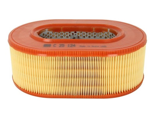 Air filter MANN-FILTER C 25 124 | eBay Australia