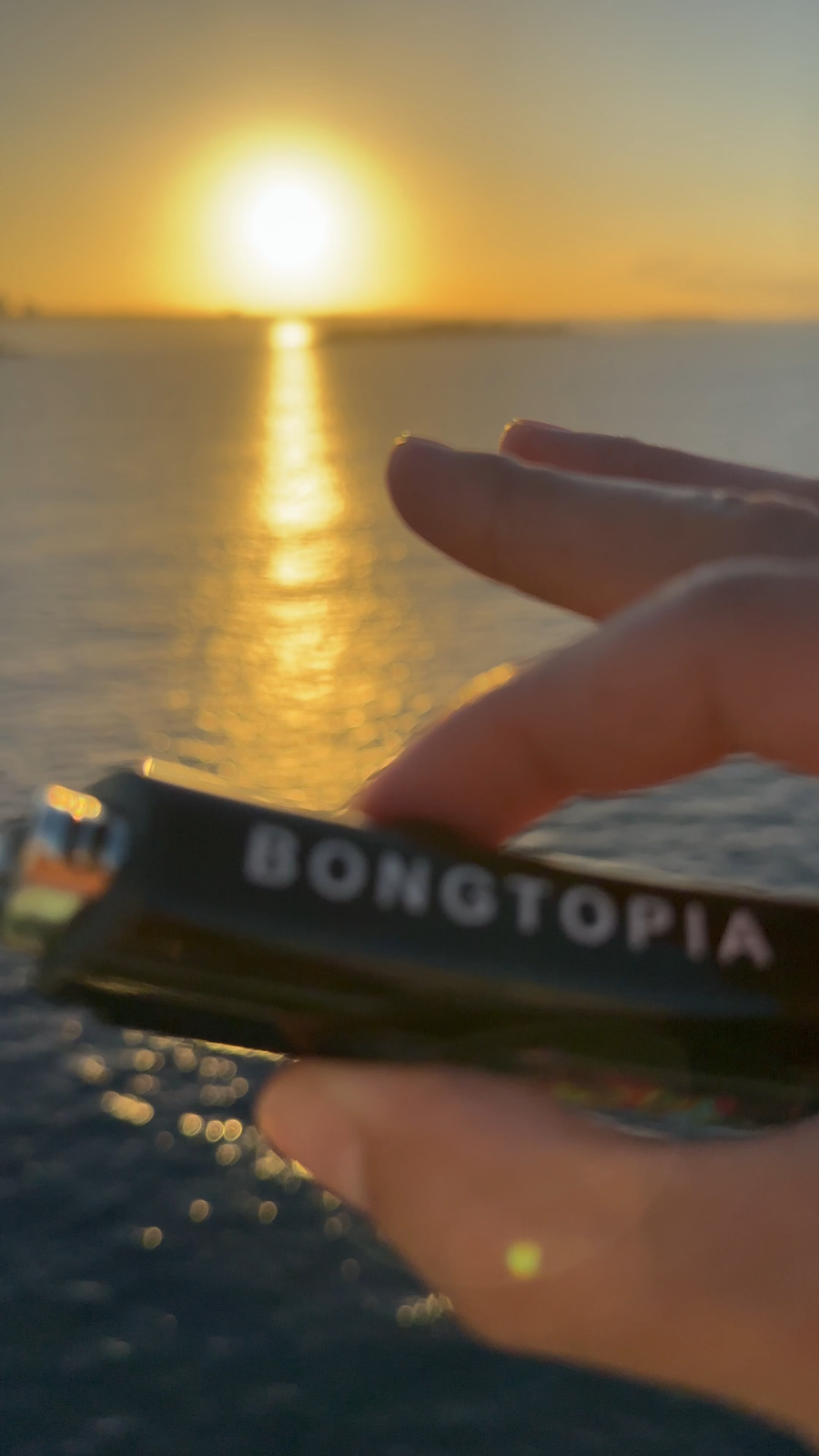 ORIGINAL BIC FLKR LYTR, FLICKER LIGHTER FIDGET SPINNER - LIGHTER CASE ...