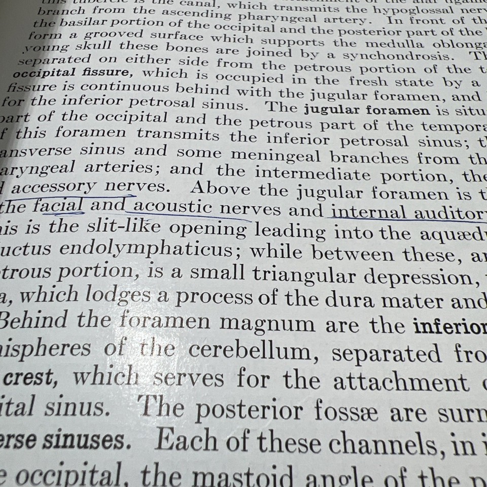 Vtg Gray's Anatomy of the Human Body 100th Year 27th Edition Charles ...