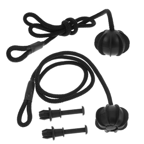 2 Sets Trunk Partition Rope Snap Adjustable Flat Bungee Cords Hooks | eBay