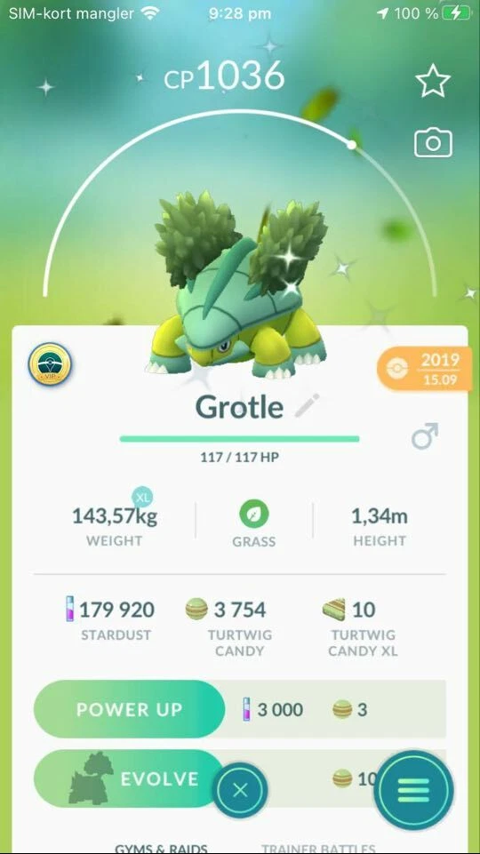 Shiny Grotle