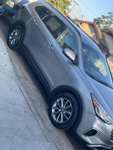 Front Door Side Molding Right Genuine for Hyundai Santa FE OEM ...