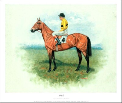 Arkle - Limited Edition Print from a Painting by Peter Deighan | eBay UK