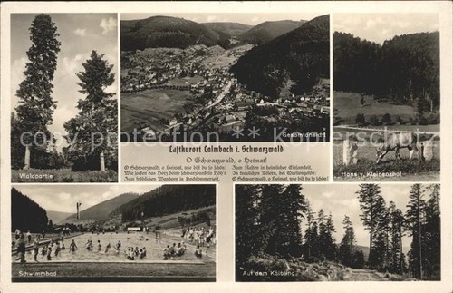 72098286 Calmbach Enz mit Schwimmbad Bad Wildbad | eBay.de