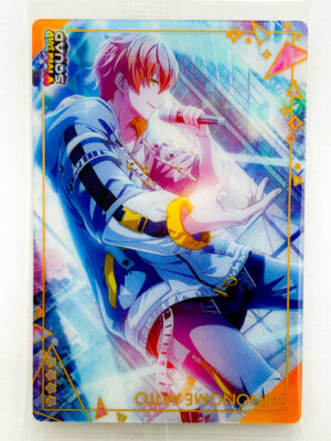 Project SEKAI COLORFUL STAGE feat. MIKU HATSUNE Akito Shinonome Wafers ...