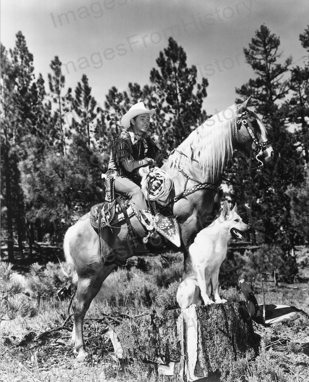 8x10 Print Roy Rogers German Shepherd Bullet and Trigger #797 | eBay