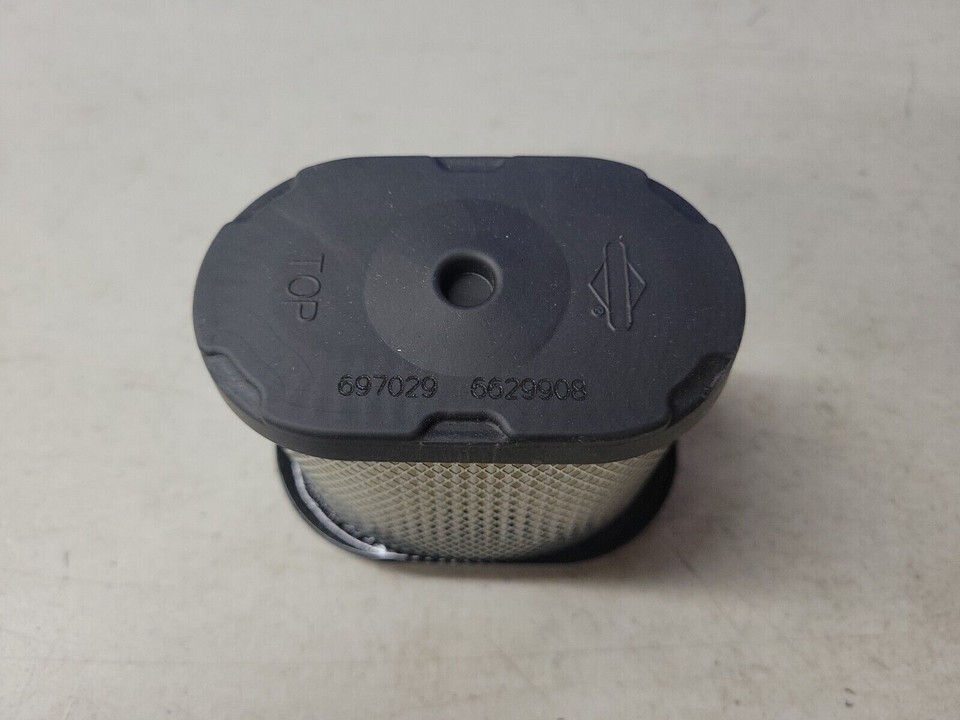 Briggs & Stratton 697029 Air Filter Cartridge OEM | eBay