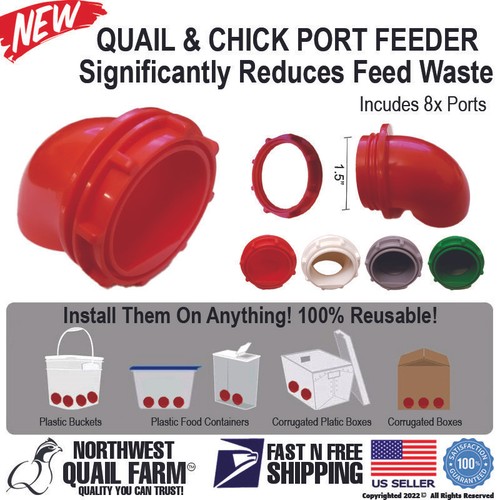 QUAIL & BABY CHICK PORT FEEDER - 8 1.5" FEEDER PORTS NO WASTE FEED ...