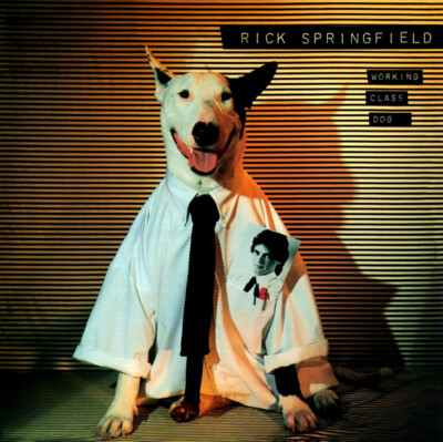 Rick Springfield - Working Class Dog / VG / LP, Album, Ind | eBay