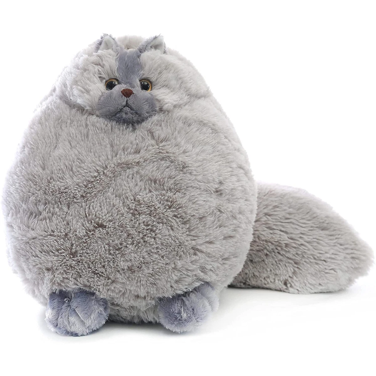 Cute Gray Cat