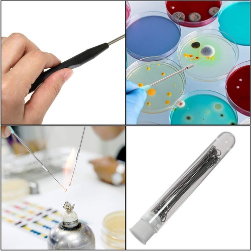 Inoculation Rod Agar Culture For Lab Multifunctional Mycelium Mycology ...