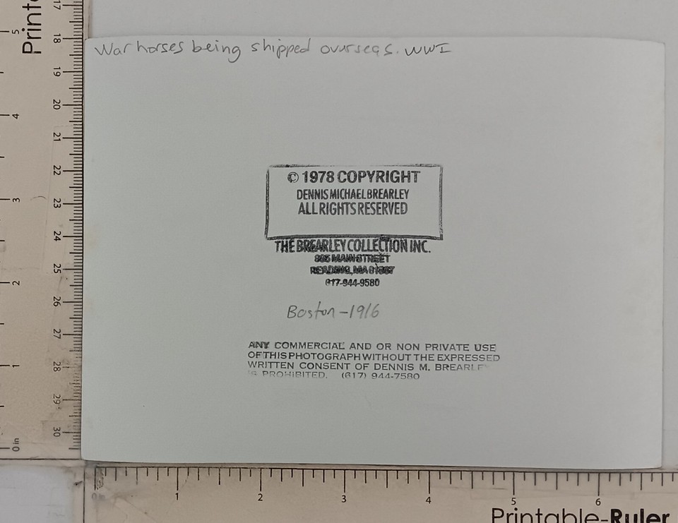 1978 Boston Massachusetts WWI War Horses Vintage Reprint of 1916 Photo ...