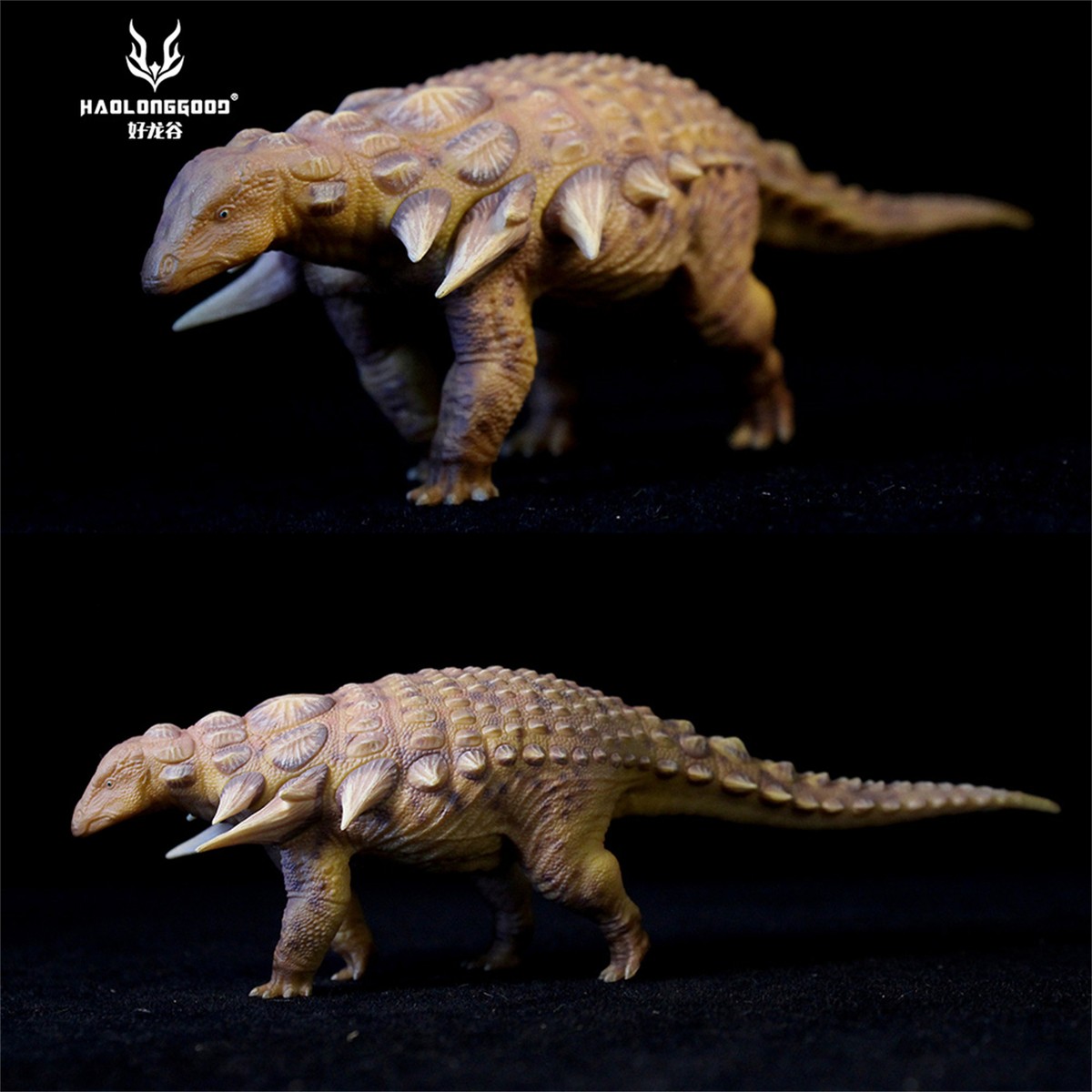 Edmontonia Vs Ankylosaurus